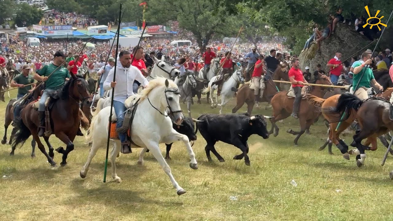 La Saca 2024 Extra - YouTube