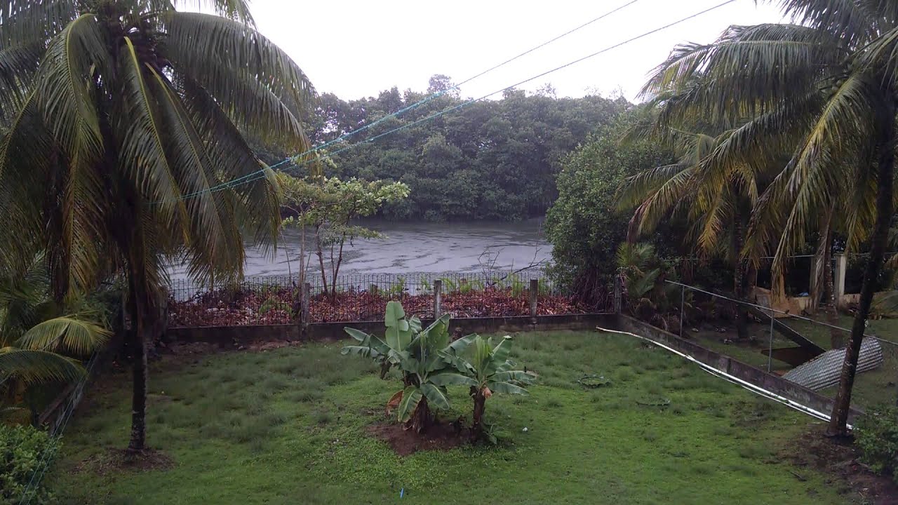 Rain in Belize - YouTube