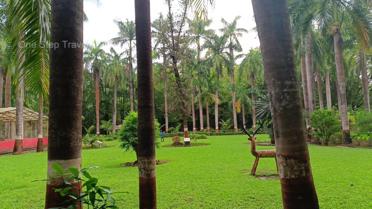 Discover the Unseen Beauty of Waghai Botanical Garden! - YouTube