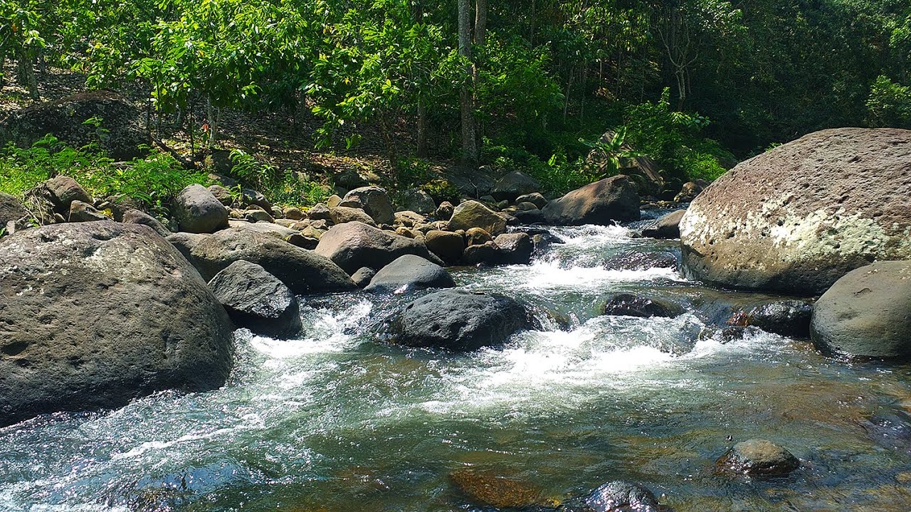 Harmonious Beautiful River Flowing with White Bubbles for Refreshing ...