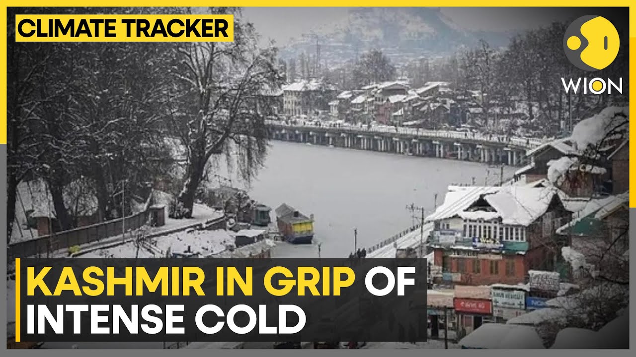 India: Kashmir Shivers As Intense Cold Wave Tightens Grip | WION ...