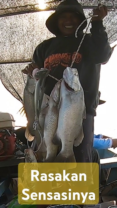 "Diluar Dugaan"...‼️‼️ Kakap Putihnya Pada Ngumpul - YouTube