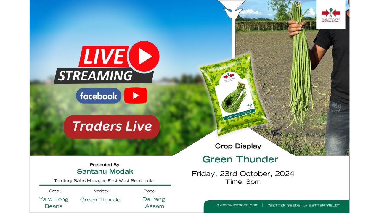 Green Thunder Traders Live | Darrang, Assam - YouTube