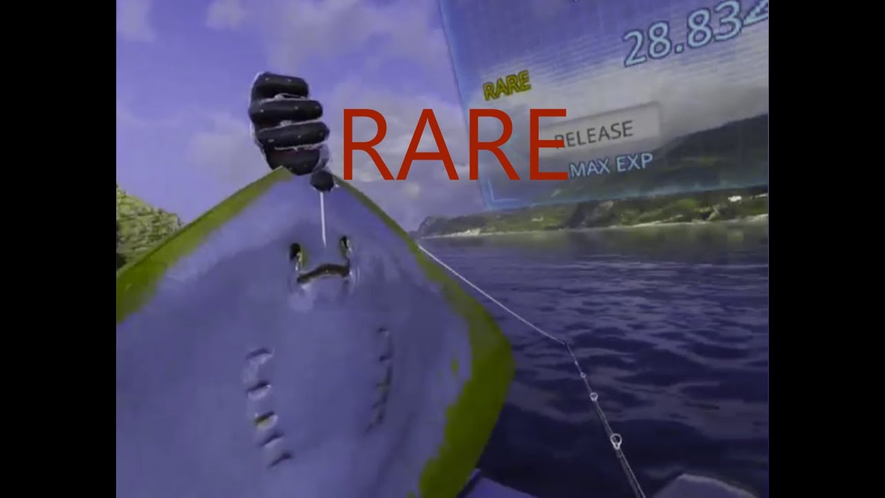Real VR Fishing Catching 3 RARE Stingrays on Oculus Quest - YouTube