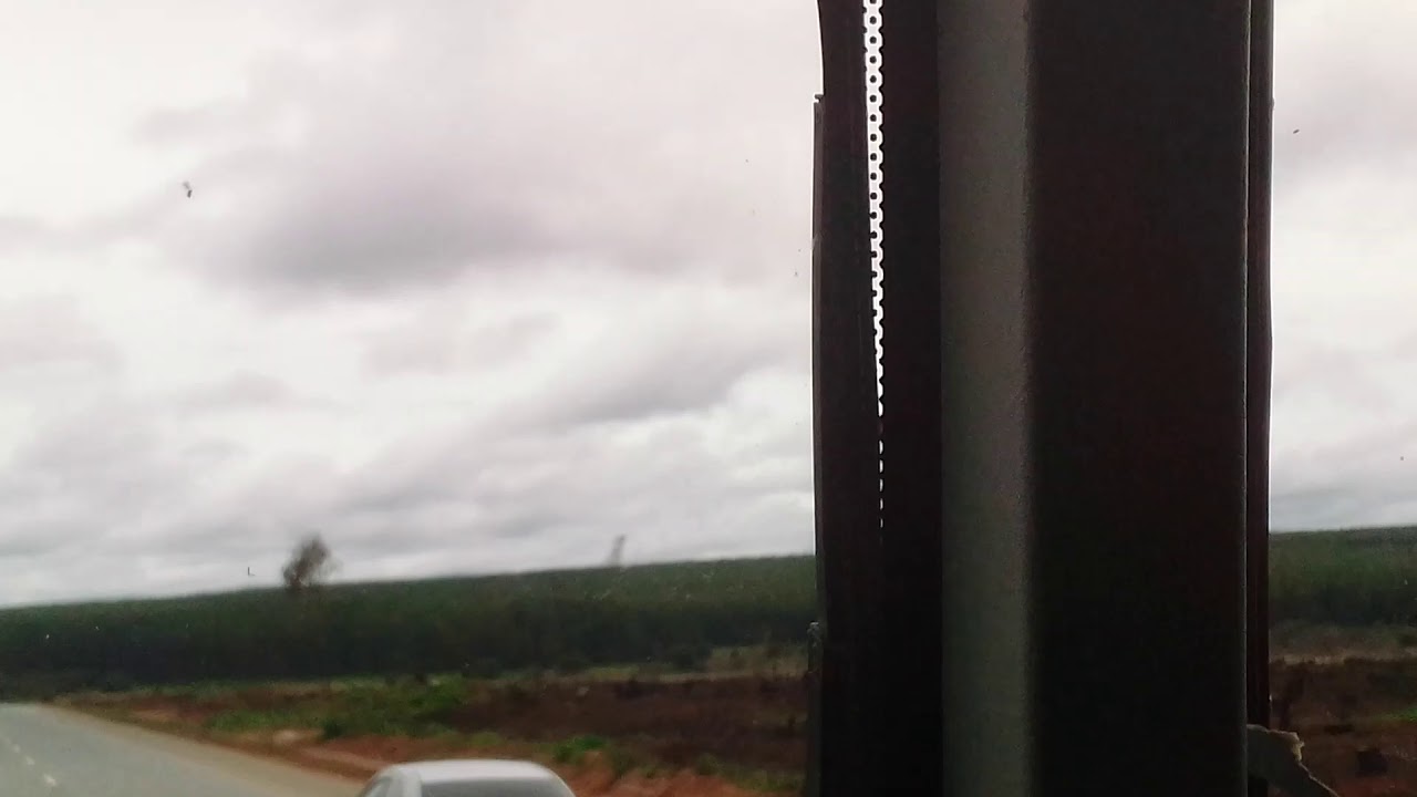 SAO HILL FOREST IN TANZANIA - YouTube