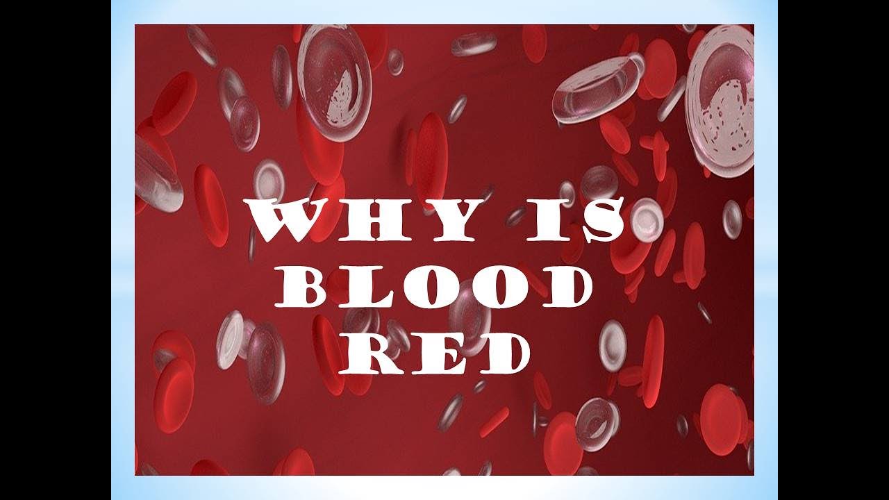 why blood is red? - YouTube