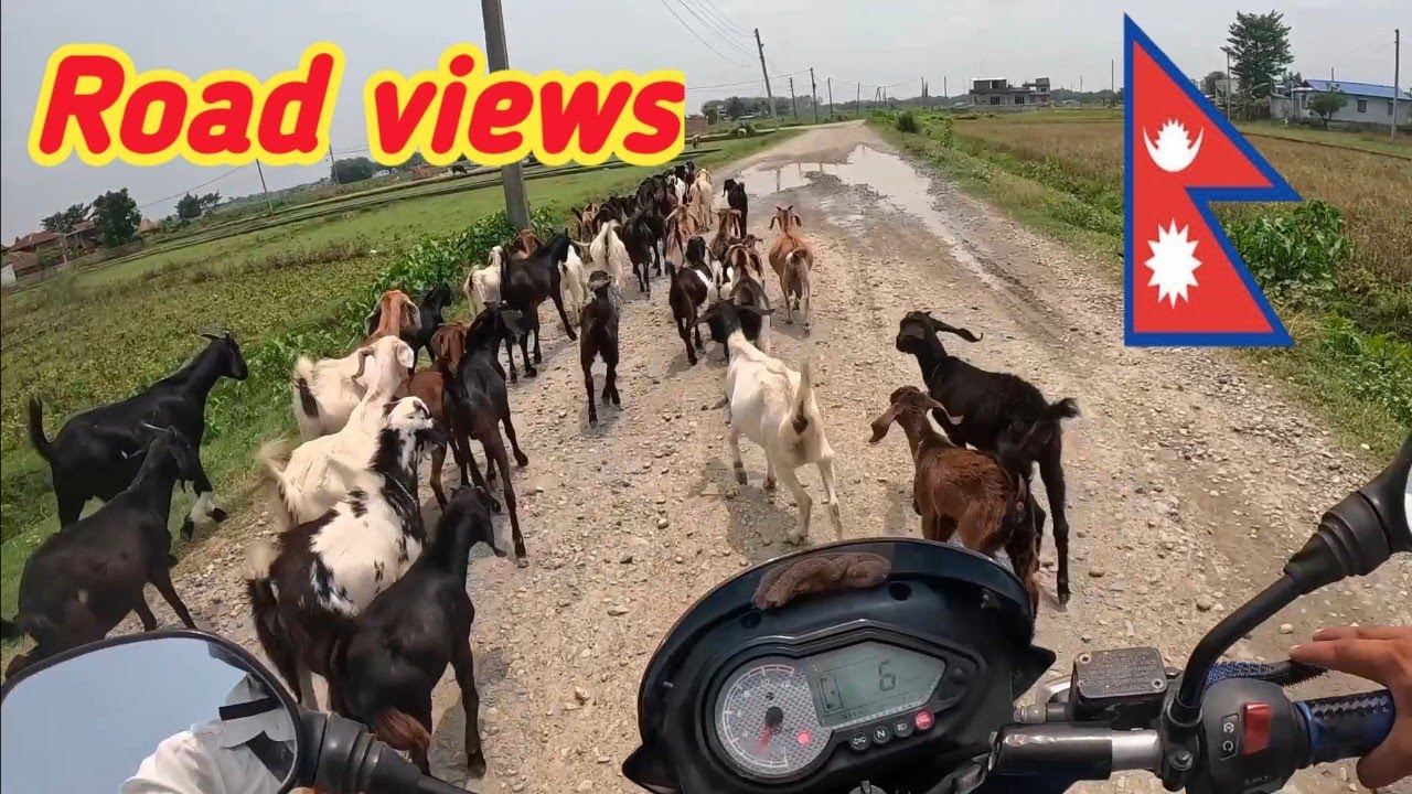 Ubdi To Dharan road is so beautiful #travel amazing places 2025#Np ...