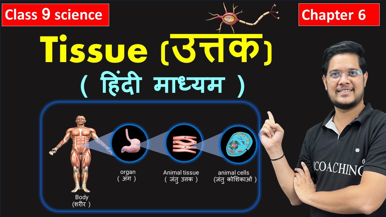Class 9 Tissue Chapter 6 Science YouTube class-9-tissue-chapter-6-science-youtube