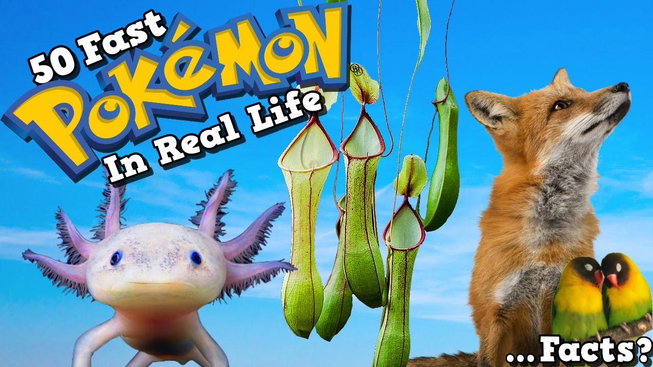 50 Fast Pokemon in Real Life! - YouTube