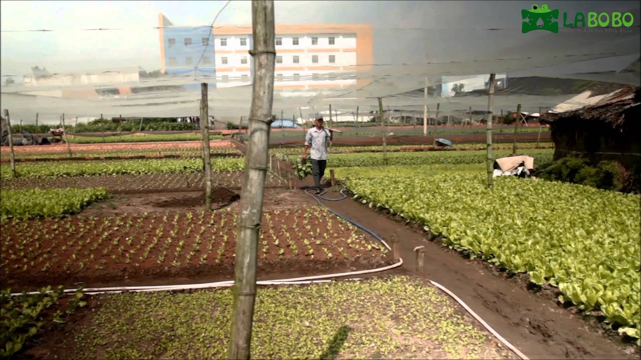 [LABOBO] Clip 3 - Handwashing with soap properly to eliminate invisible ...