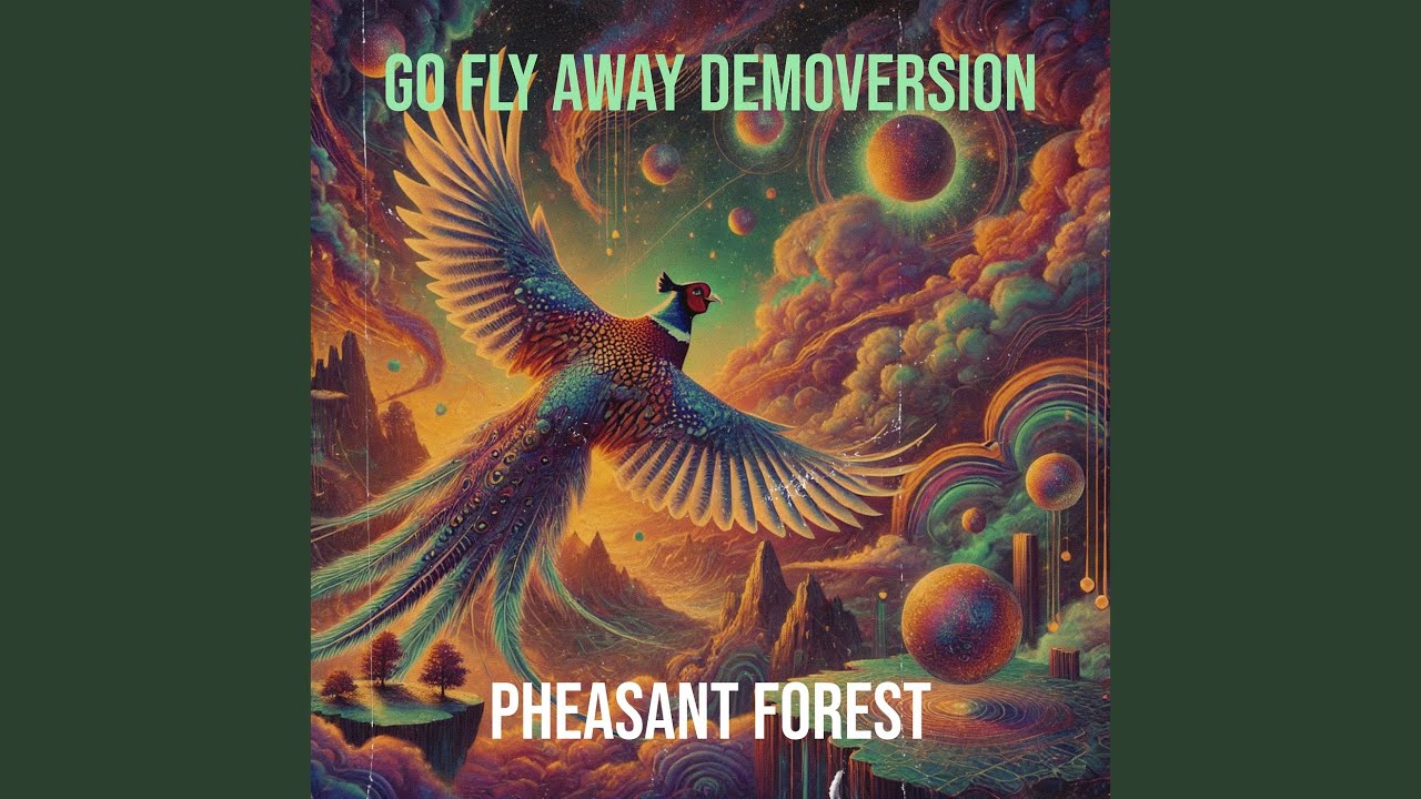 Go Fly Away Demoversion - YouTube