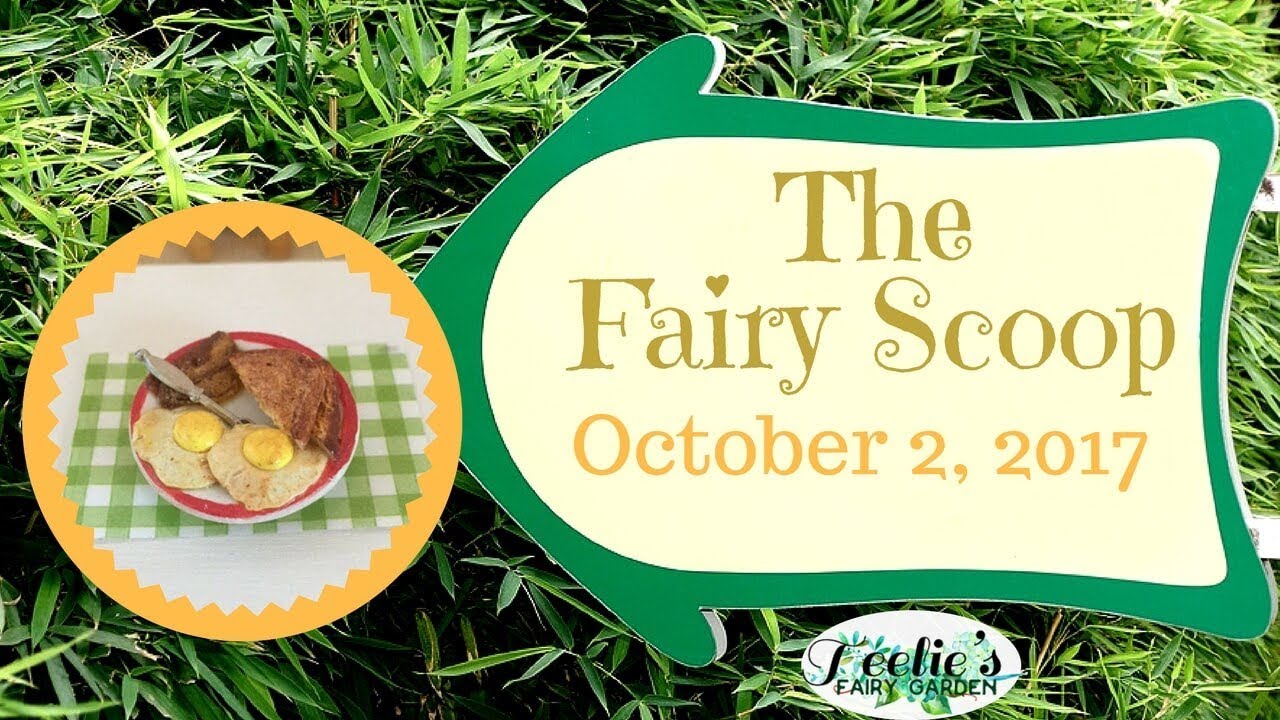Teelie's Fairy Garden | Fairy Garden Fun Fairy Meals |Teelie Turner ...