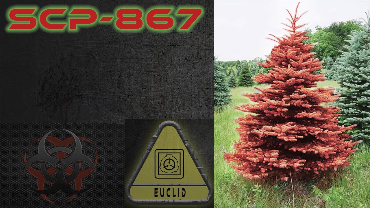 [Mission 7] SCP 867 : Sapin sanglant - YouTube