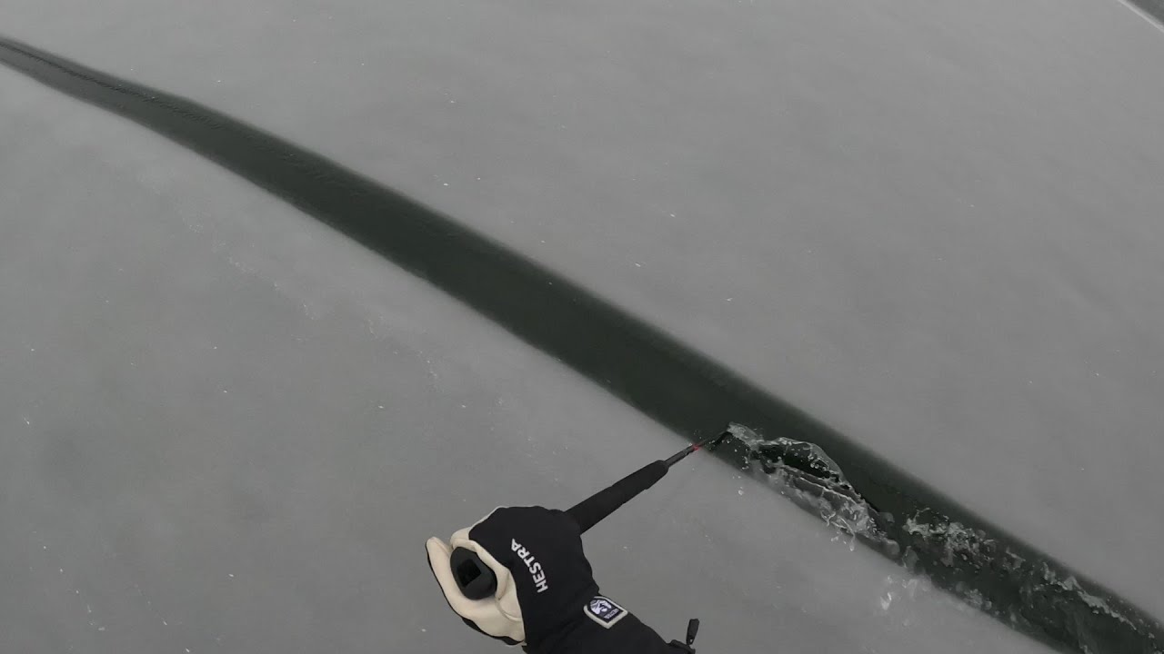 Linlo (8.1.2023) - YouTube