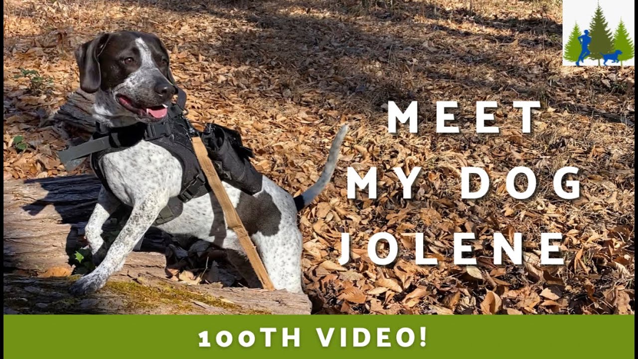 100. MEET MY DOG JOLENE - YouTube