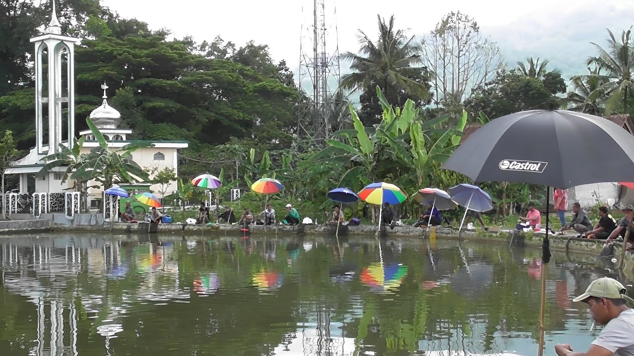 MANCING BORONGAN NYIMAS CANTIK DAN GURAME BABON 5 JUTA - YouTube