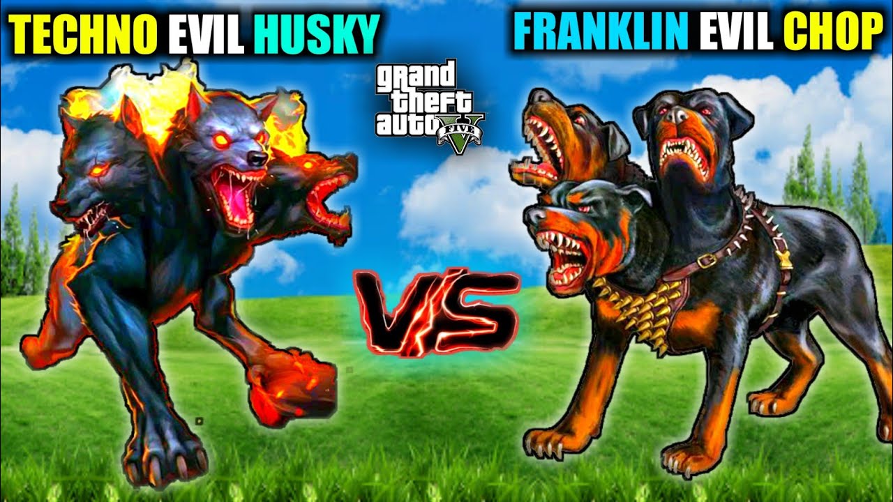 Gta 5 : Franklin (EVIL CHOP) Vs Techno Gamerz (EVIL HUSKY) In Gta 5 ...