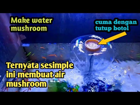how to Make water mushroom DIY | with quick filter | airlift venturi ...