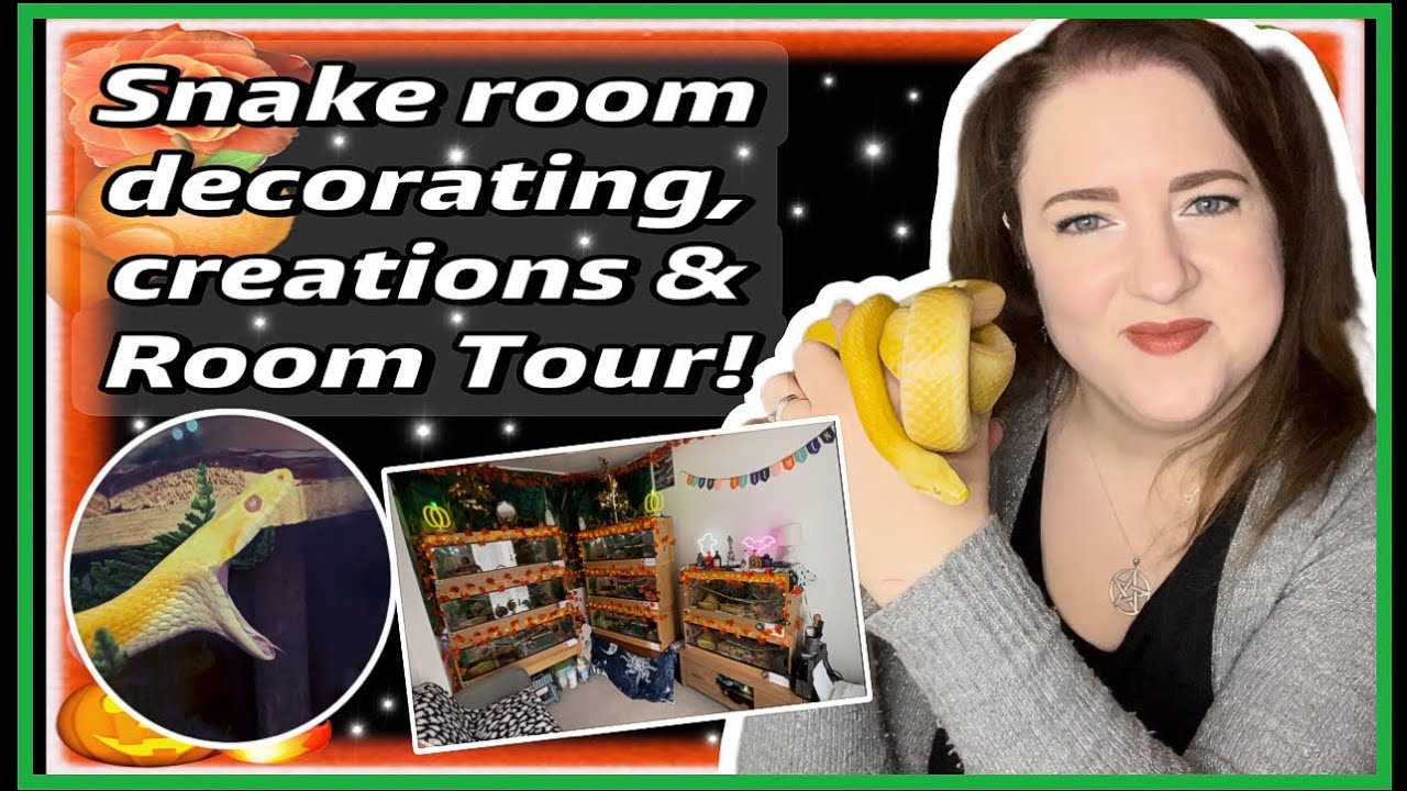 Autumn Snake Room Decorations, Decor For The Snakes & Room Tour ~Ellie ...