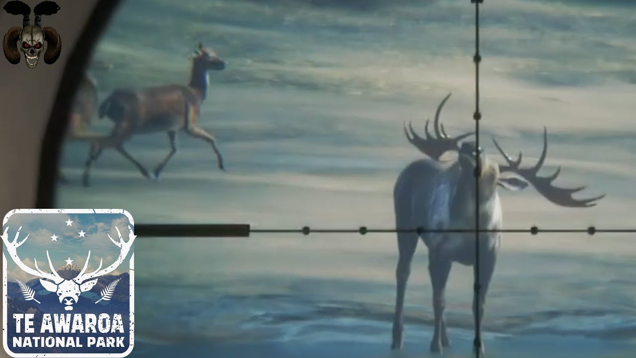 Bobby the Moose of New Zealand! Te Awaroa Missions Part 5 The Hunter ...