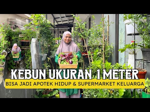 Kebun Super Mungil Ukuran 1x1,2 Meter