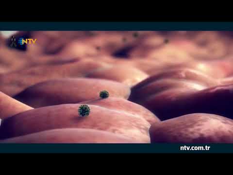 Dünya için felaket senaryosu