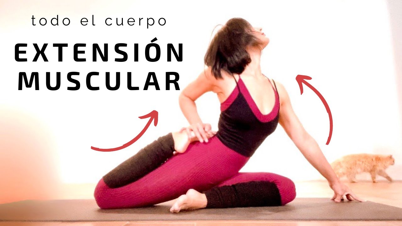 Extensión Muscular Todo el Cuerpo. Restablece todos tus músculos. Salud ...