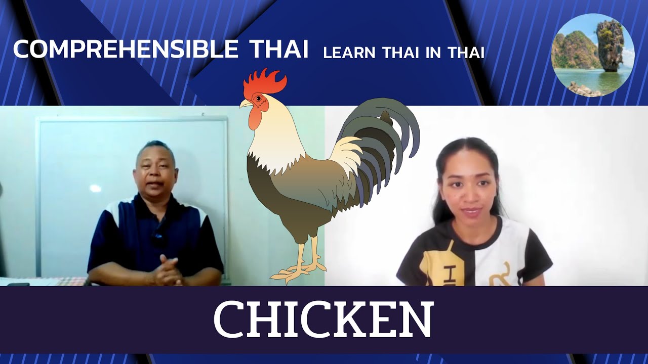 Chicken (Learn Thai in Thai: Intermediate) - YouTube