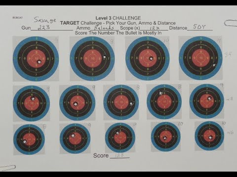 Savage Axis .223 50Y Challenge Target w/Reloads - YouTube