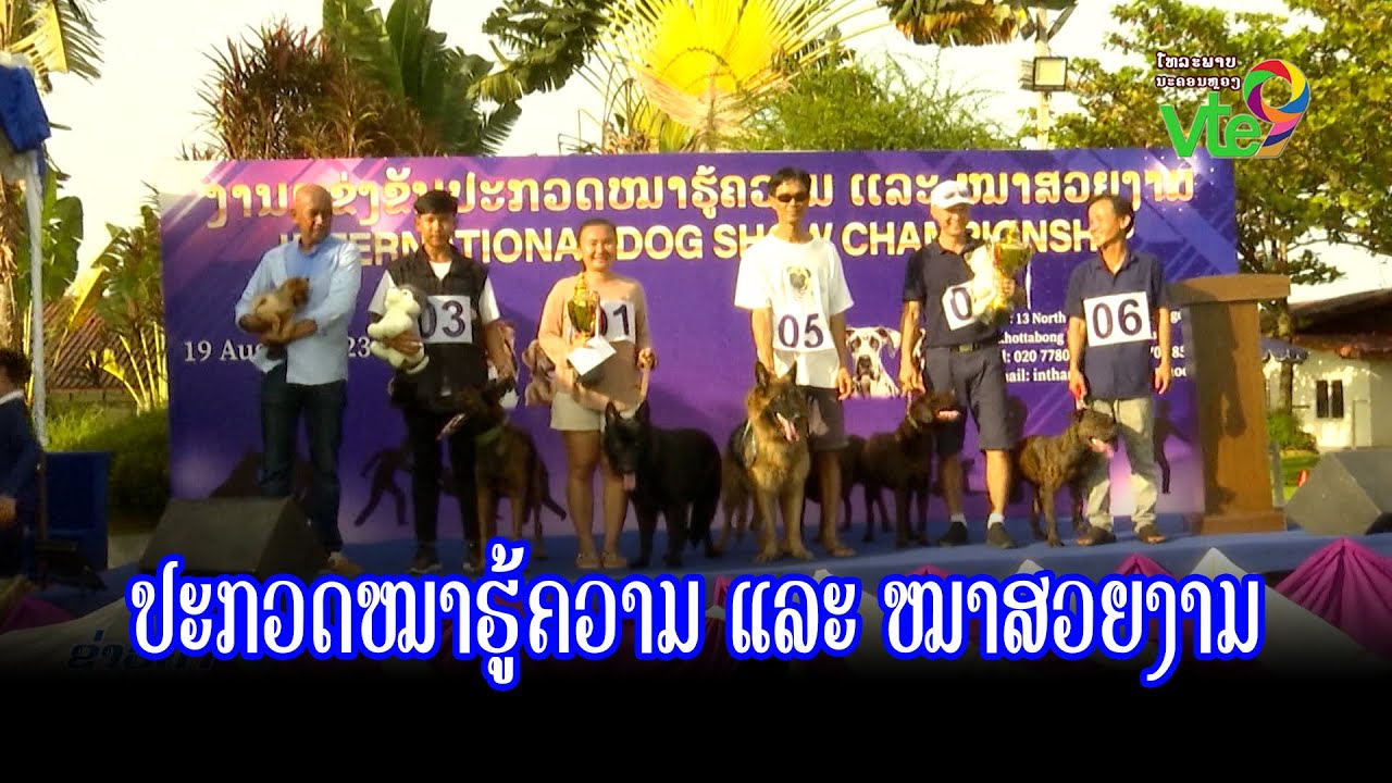 ປະກວດໝາຮູ້ຄວາມ ແລະ ໝາສວຍງາມ - YouTube