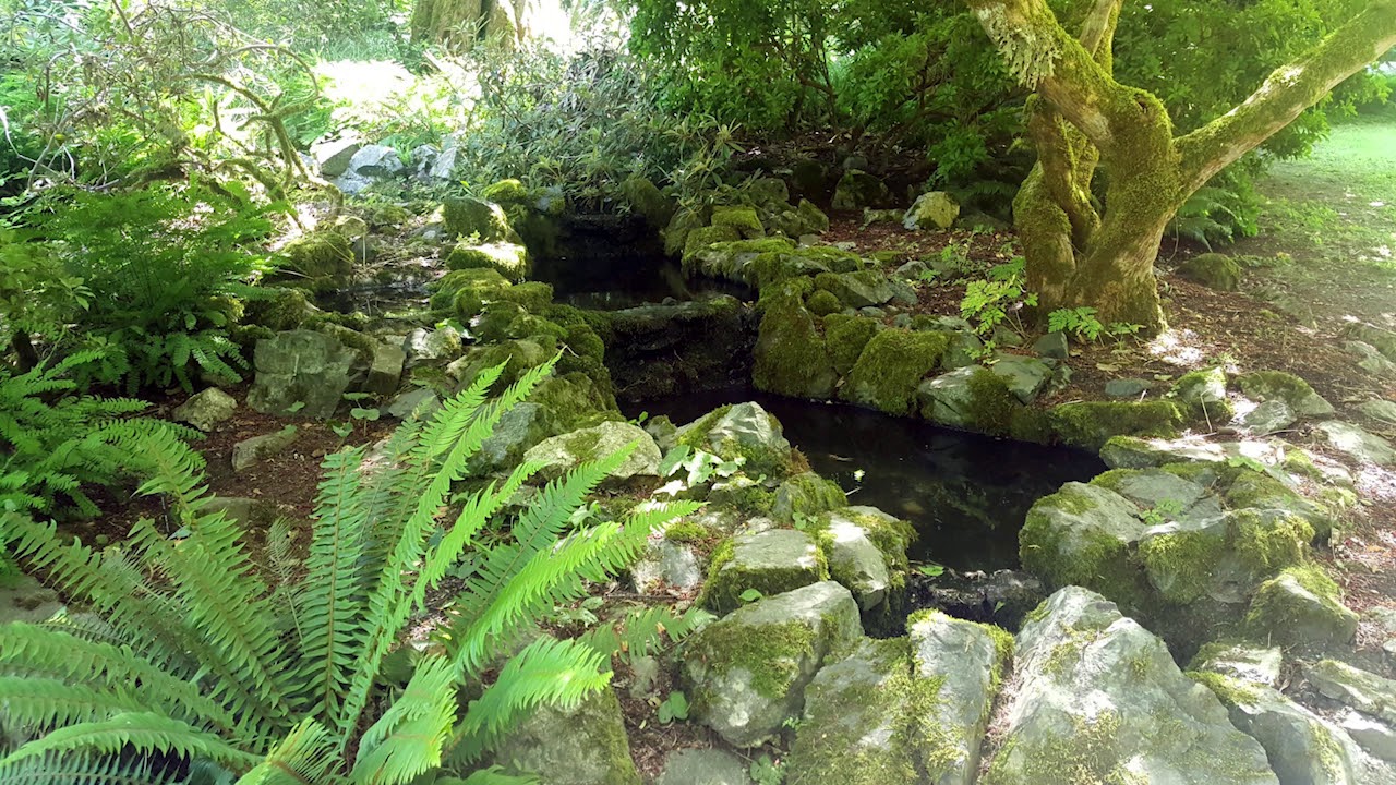 Grounded Awareness: Connecting to Nature Meditation - YouTube