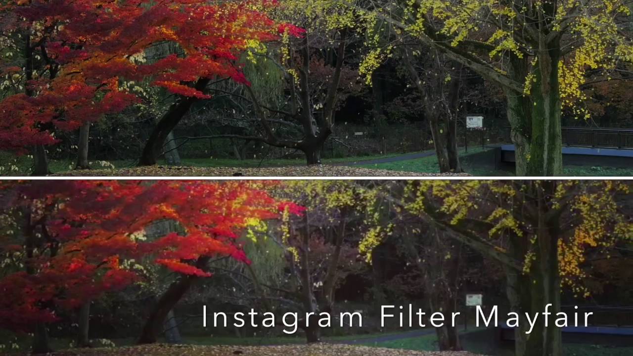 Instagram Video Filter Mayfair - Before & After Sample / インスタグラム 動画 ...