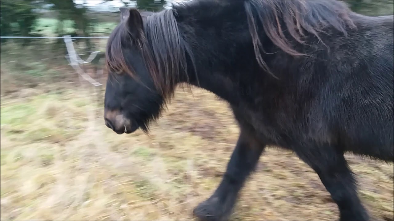 Sneaky Human - YouTube