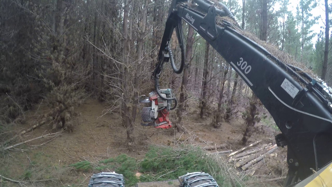 Eco Log 590D Logmax 7000C - YouTube