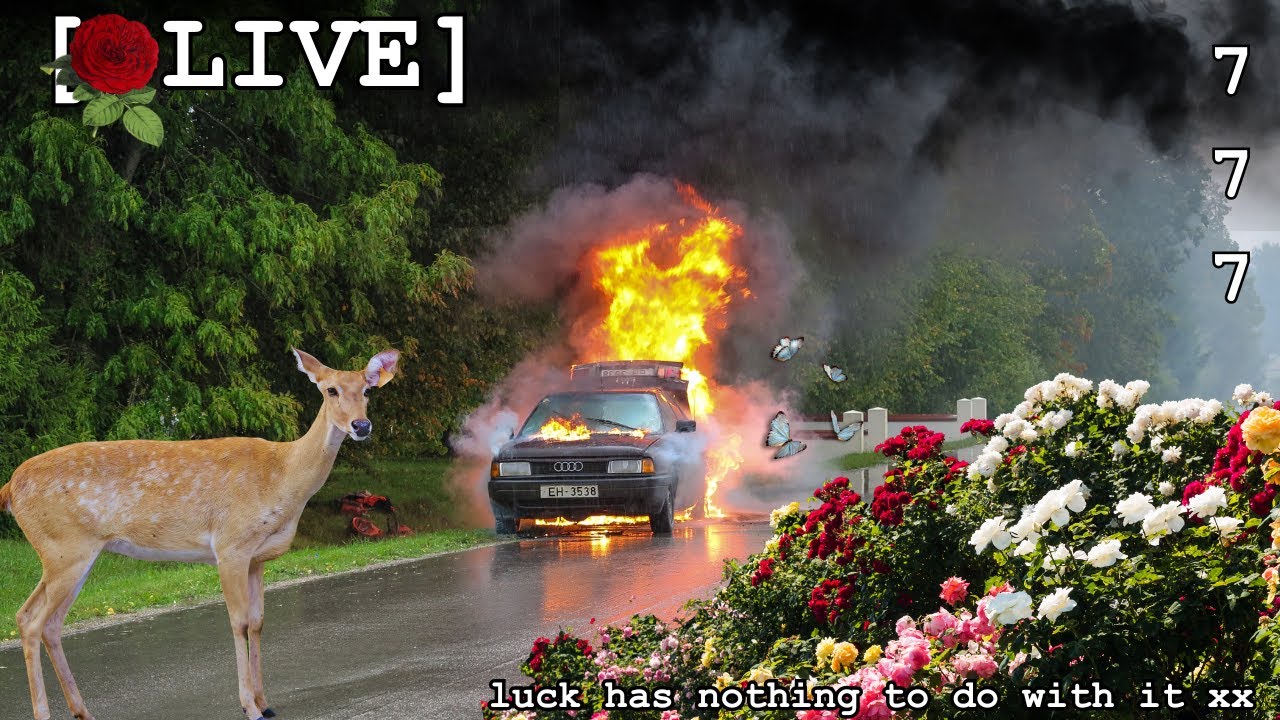 LOOP ME HARDER DADDY xx dead by daylight - YouTube