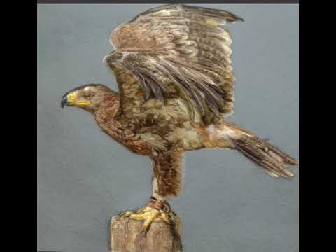 Steppe Eagle Needle Felted portrait