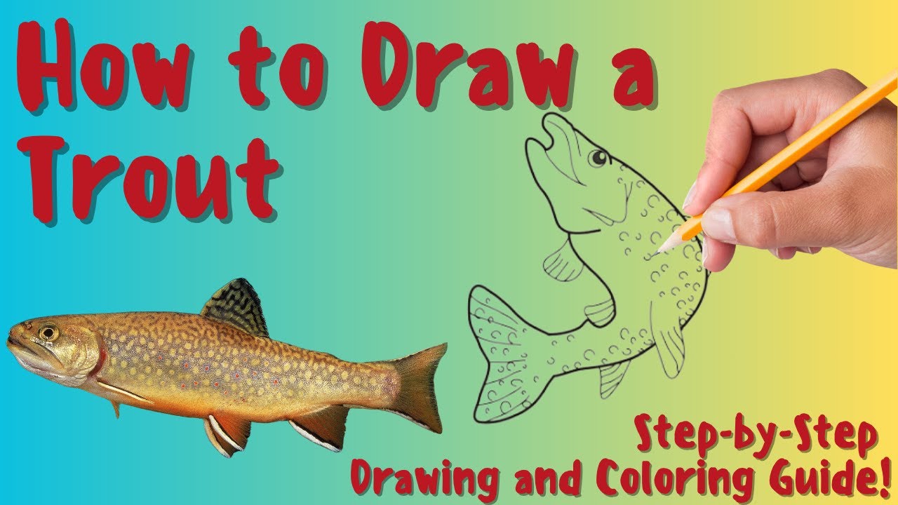 How To Draw A Trout - Fun & Easy Step-by-Step Drawing and Coloring ...