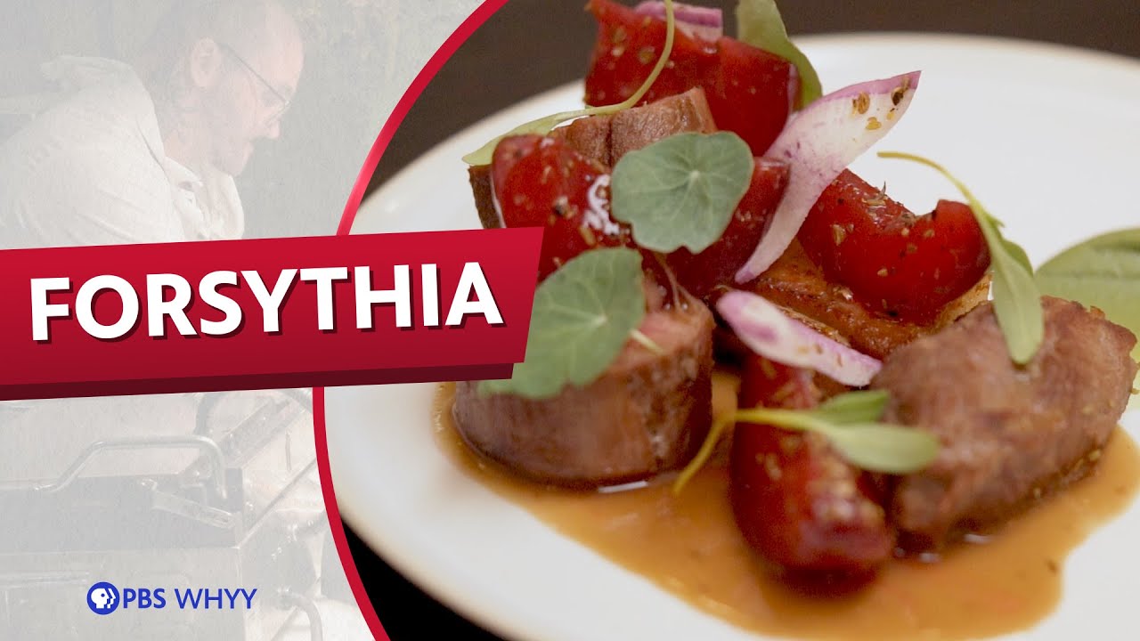 Forsythia brings modern French cooking to Philadelphia | Check, Please ...