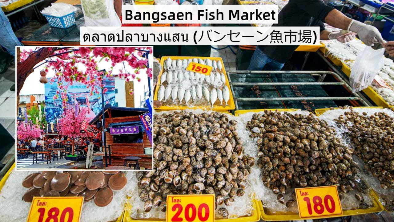 Exploring BangSaen Japanese Style Fish Market | 📍ตลาดปลาบางแสน (バンセーン魚 ...
