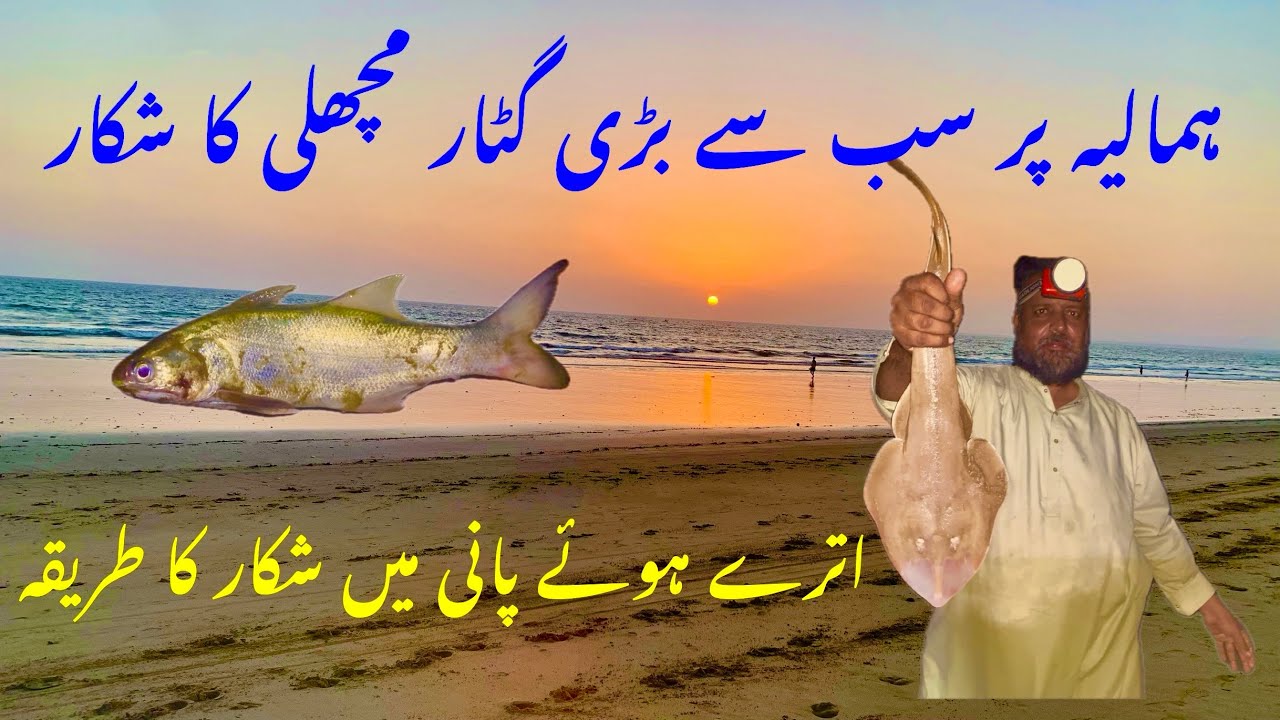 New fishing report Humaliya! Kemari fishing! Manora fishing! Hawksby ...