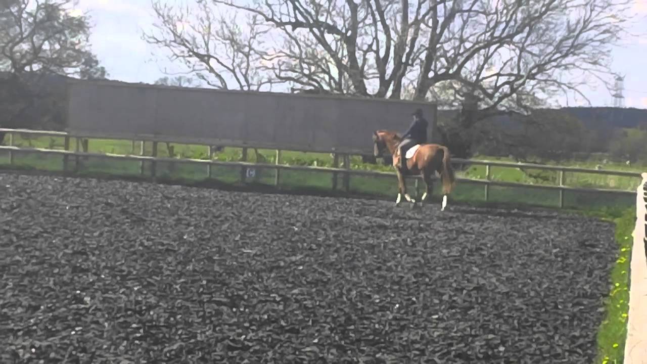 Me riding Ginger Pony for the first time at Boarding School 19th April ...