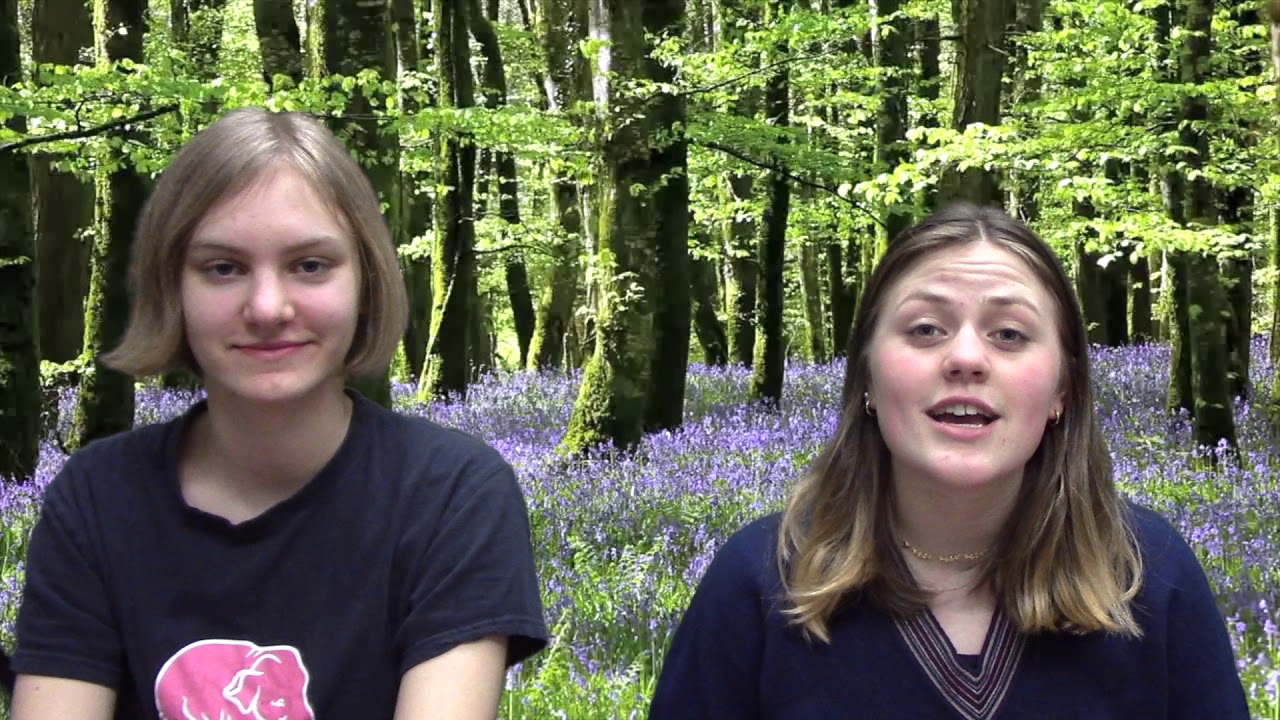 Ep. 5 Axe Report February 2019-2020 - YouTube