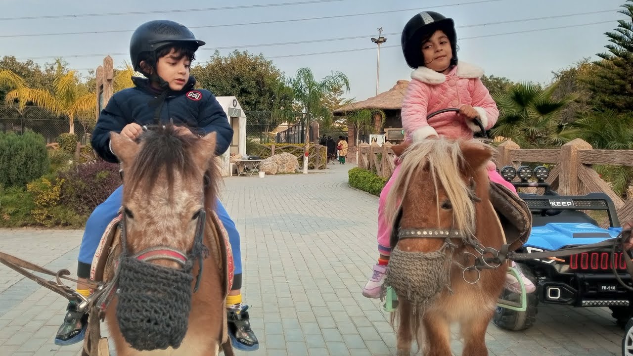 Anfa and Umar Riding Ponny Horse 🐎 || pony ride || Cute Kids riding ...