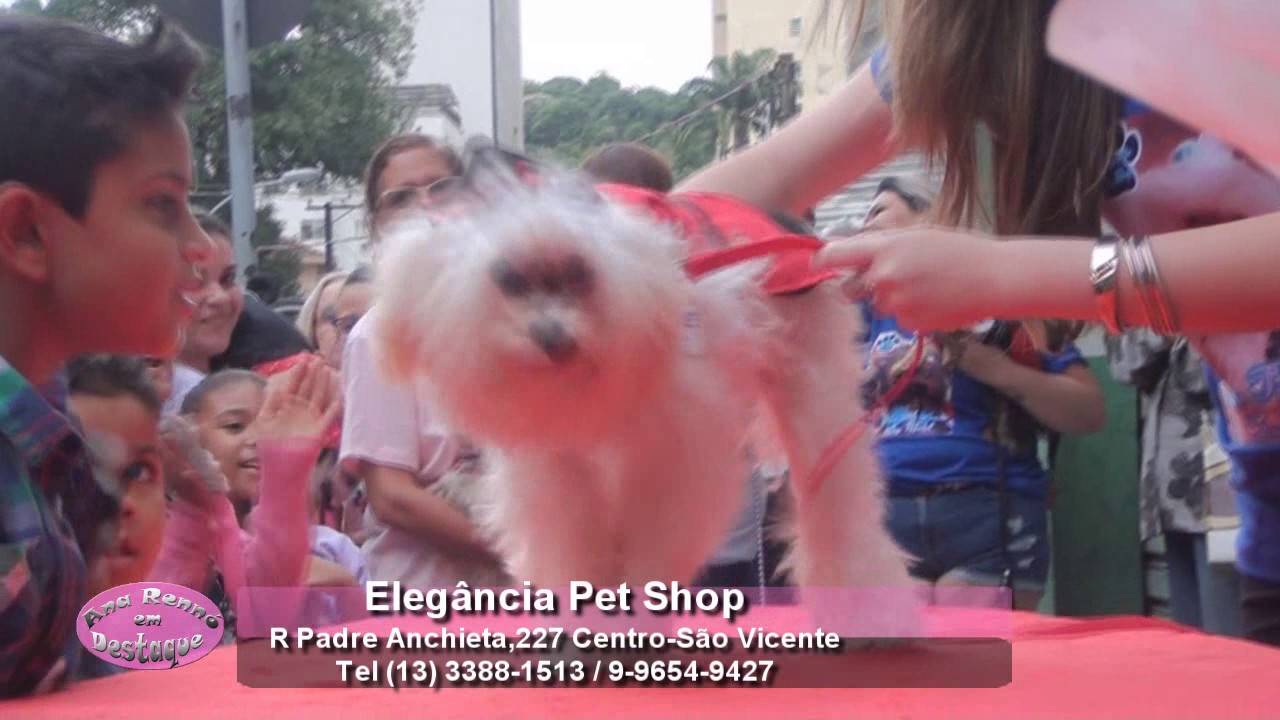 DESFILE ELEGÂNCIA PET ANA RENNÓ DESTAQUE - YouTube