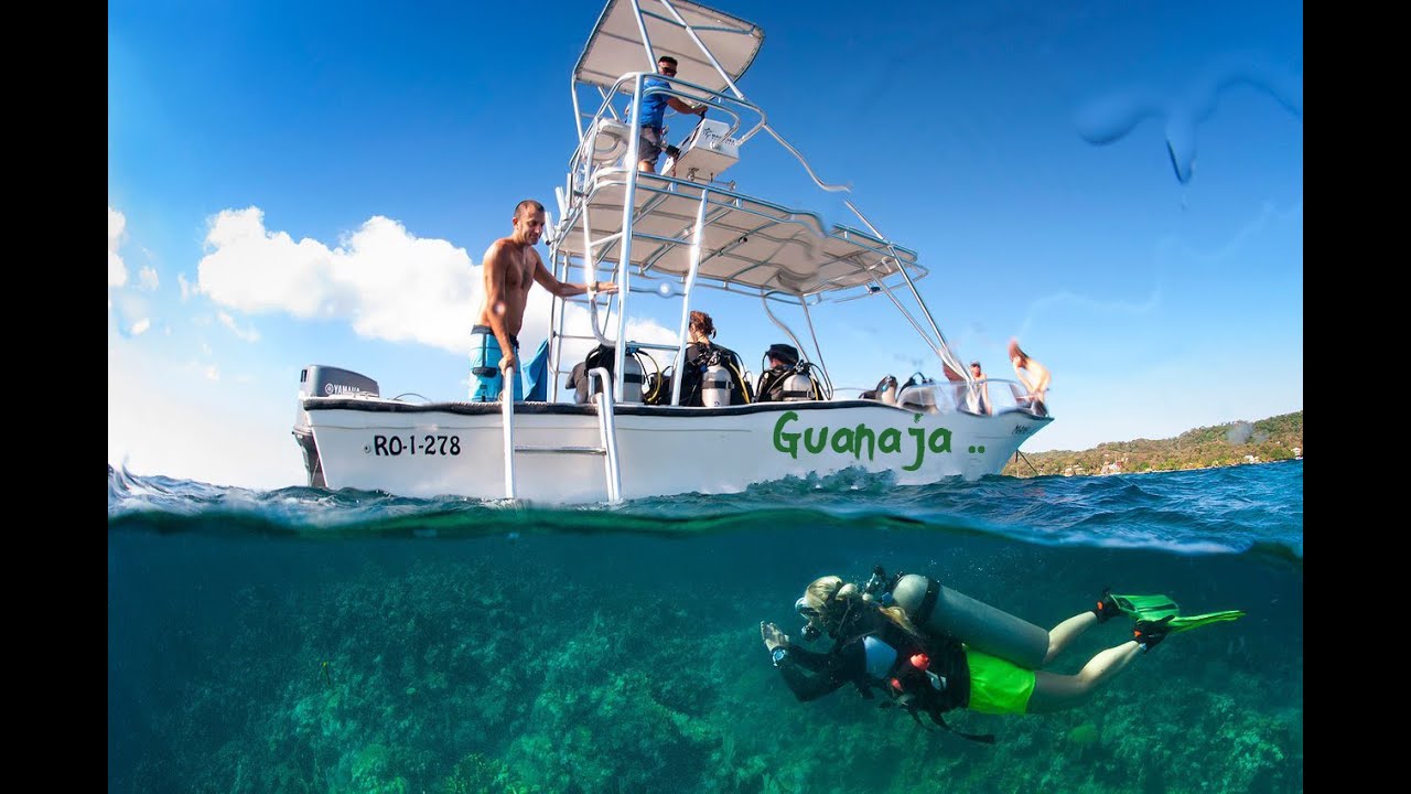 Guanaja Islands Epic Diving & Snorkeling vacations - YouTube
