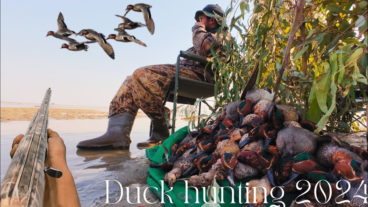 Duck Hunting in Pakistan 2024 - YouTube