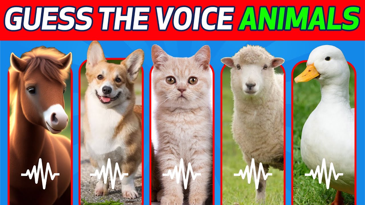 Guess the Voice Animal Challenge #quiz #quessthevoice - YouTube