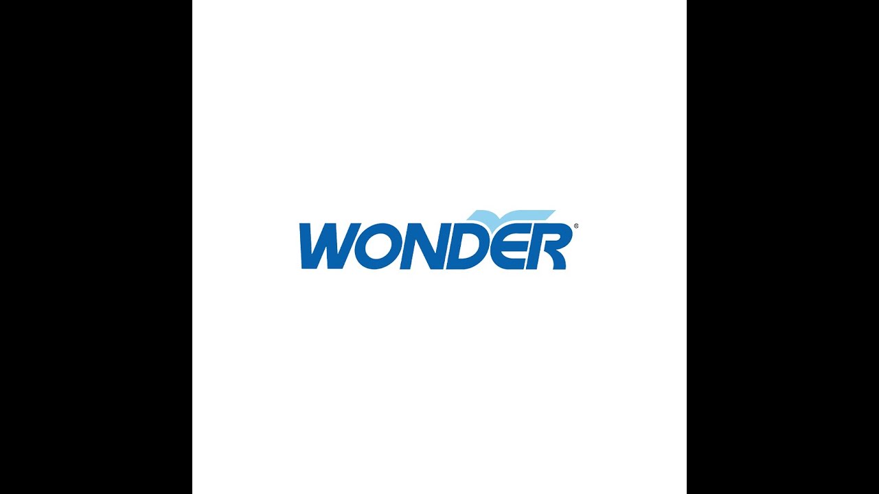WONDER ELECTRIC INDUCTION MOTOR - YouTube