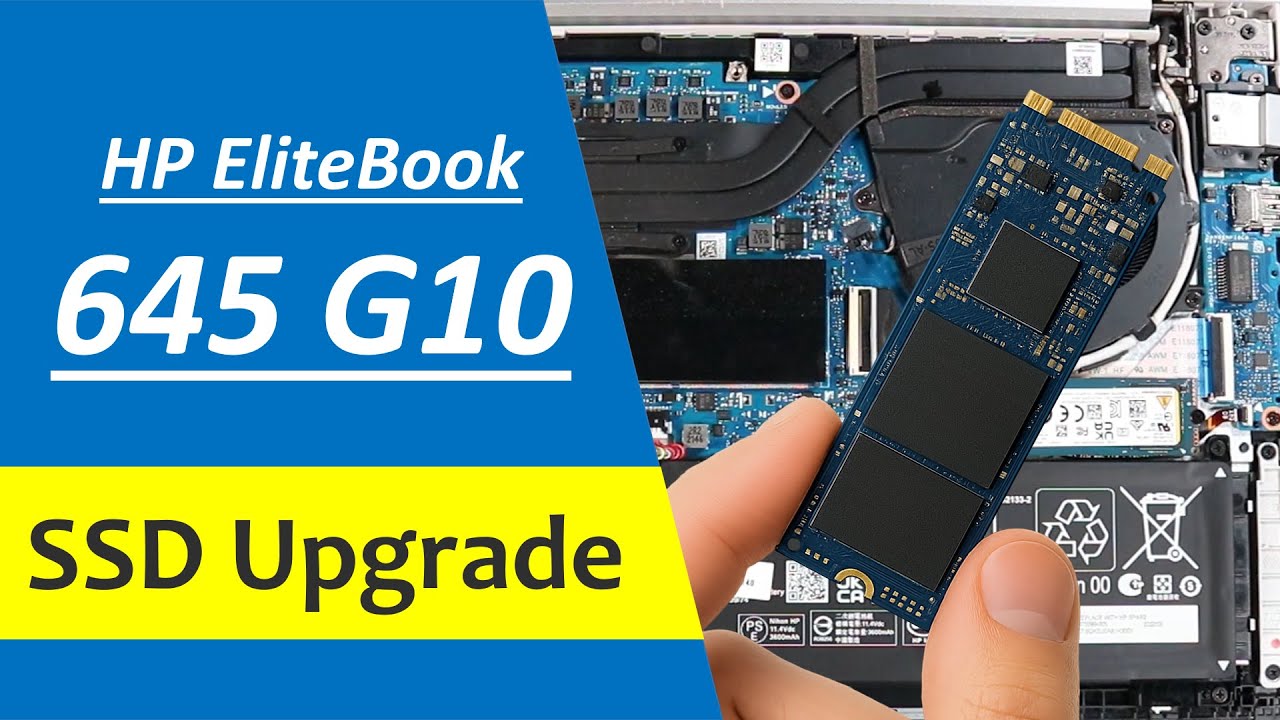 HP EliteBook 645 G10 Laptop SSD Upgrade – Full Disassembly ...