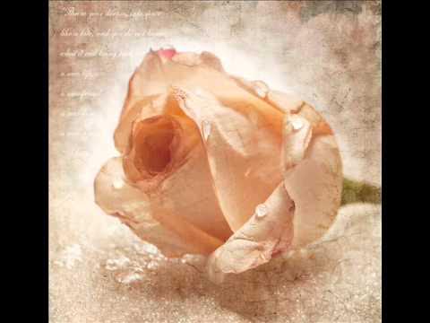 Marian McPartland "Silent Pool" - The Pink Rose - YouTube